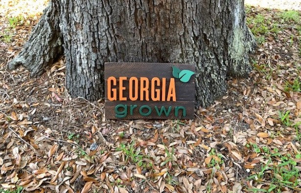 Tasty Treats – Cottle and Gunn